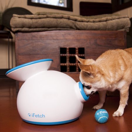 Apportier Maschine iFetch - www.irgendeineseite.de